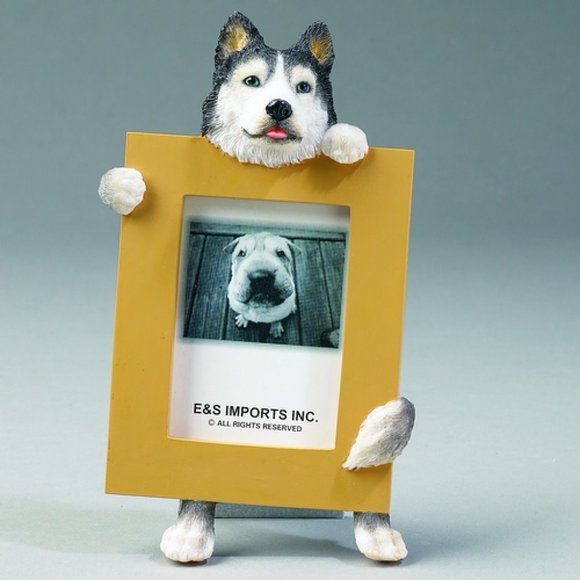 es | Accents | Siberian Husky Frame | Poshmark